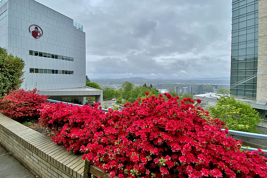 OHSU - On A Rainy Day