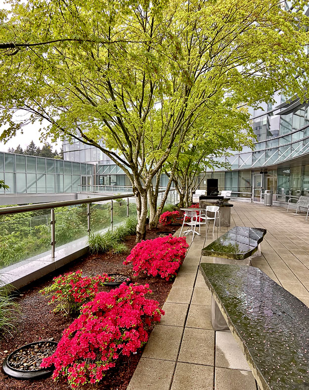 OHSU - On A Rainy Day