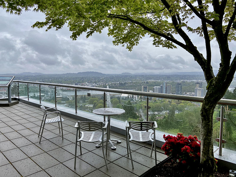 OHSU - On A Rainy Day