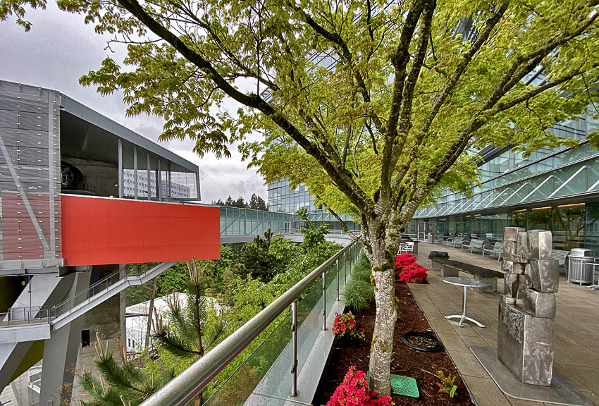 OHSU - On A Rainy Day